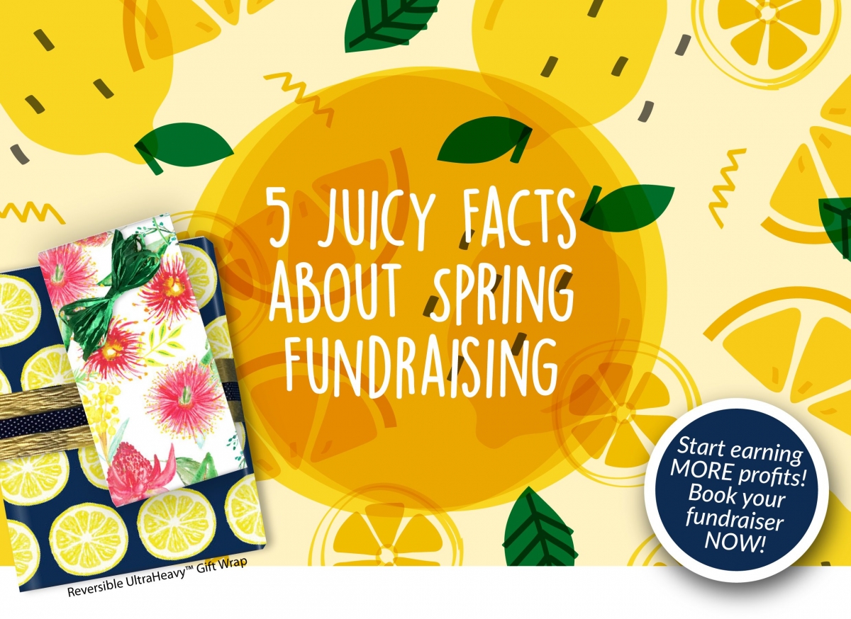 5 Juicy Facts About Spring Fundraising - Charleston Wrap